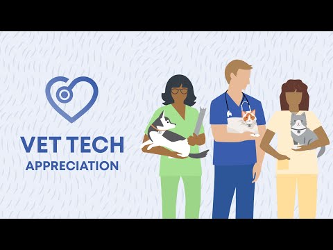Vet Tech Appreciation 2023 – Real Stories from Veterinary Technicians
