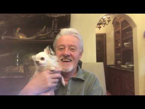 DIY 'Life Threatening Mastitis' Does Your Dog Have It? How to Diagnosis And Treat It!