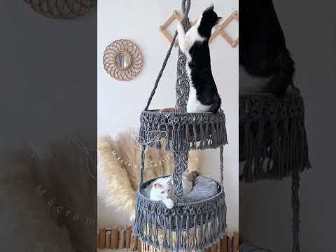 Kitty Comfort: Cats Love Our Macrame Hammock #catlove