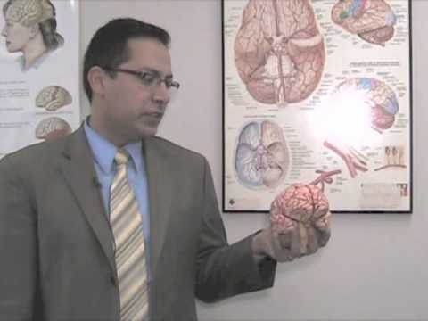 ProTECT Clinical Trial Study: What is Traumatic Brain Injury or TBI?