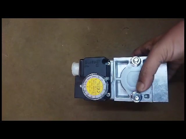 Entees Internal Gear Pump & Digital Temperature Controller Trader ...