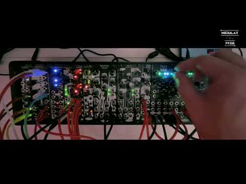 1010 Music Lemondrop Nanobox 4-Voice Granular Synthesizer | Reverb