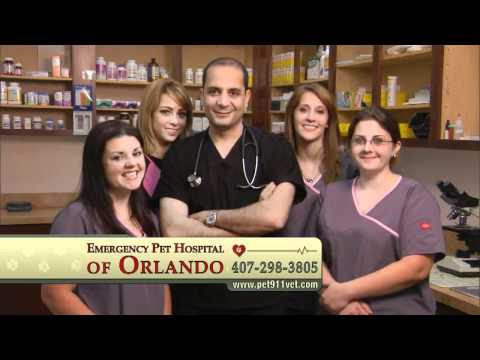 Emergency Pet Hospital WFTV Commercial