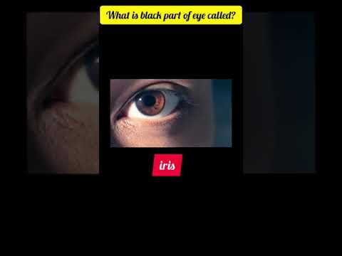#what is the black part of eye called#