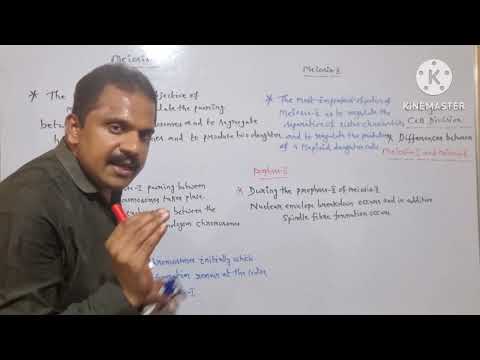 Differences between Meiosis-1 and Meiosis-2 (cell cycle and cell division).