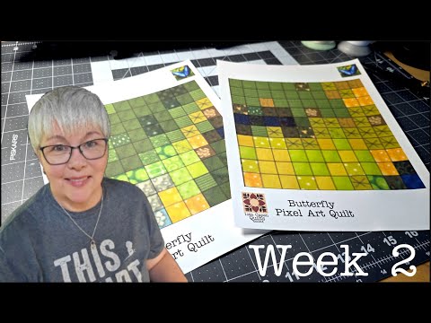 Butterfly Pixel Quilt Sew Along - Part 2 - Free Pattern by Lisa Capen Quilts