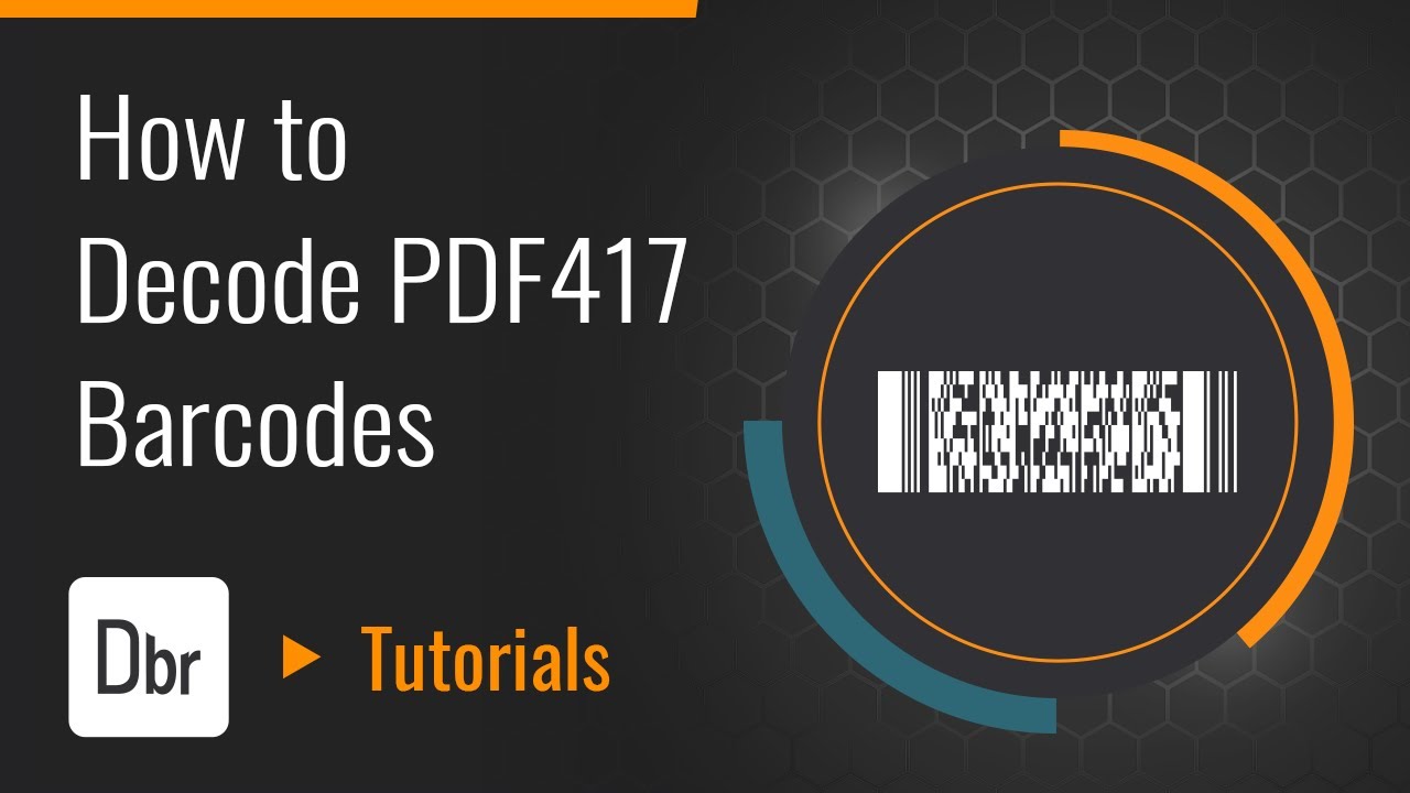 How to Decode PDF417 Barcodes | Dynamsoft Tutorials