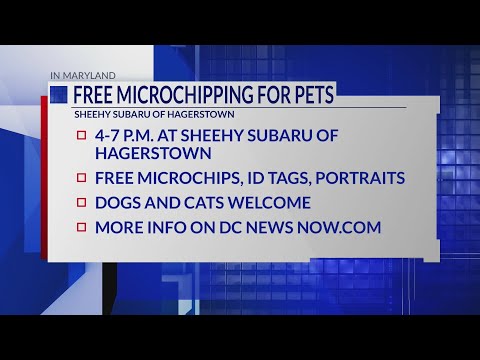 Free microchipping event at Sheehy Subaru of Hagerstown