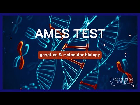 Ames Test (+ NOTES)