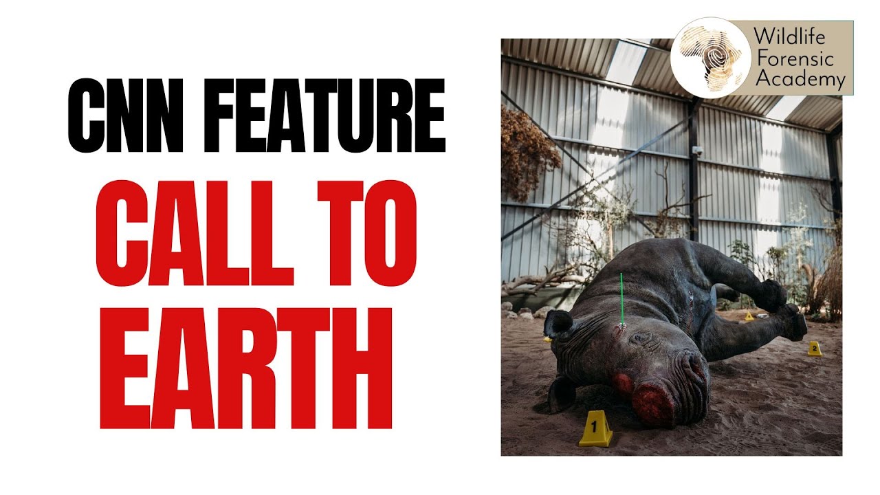 WFA CNN Call to Earth Feature