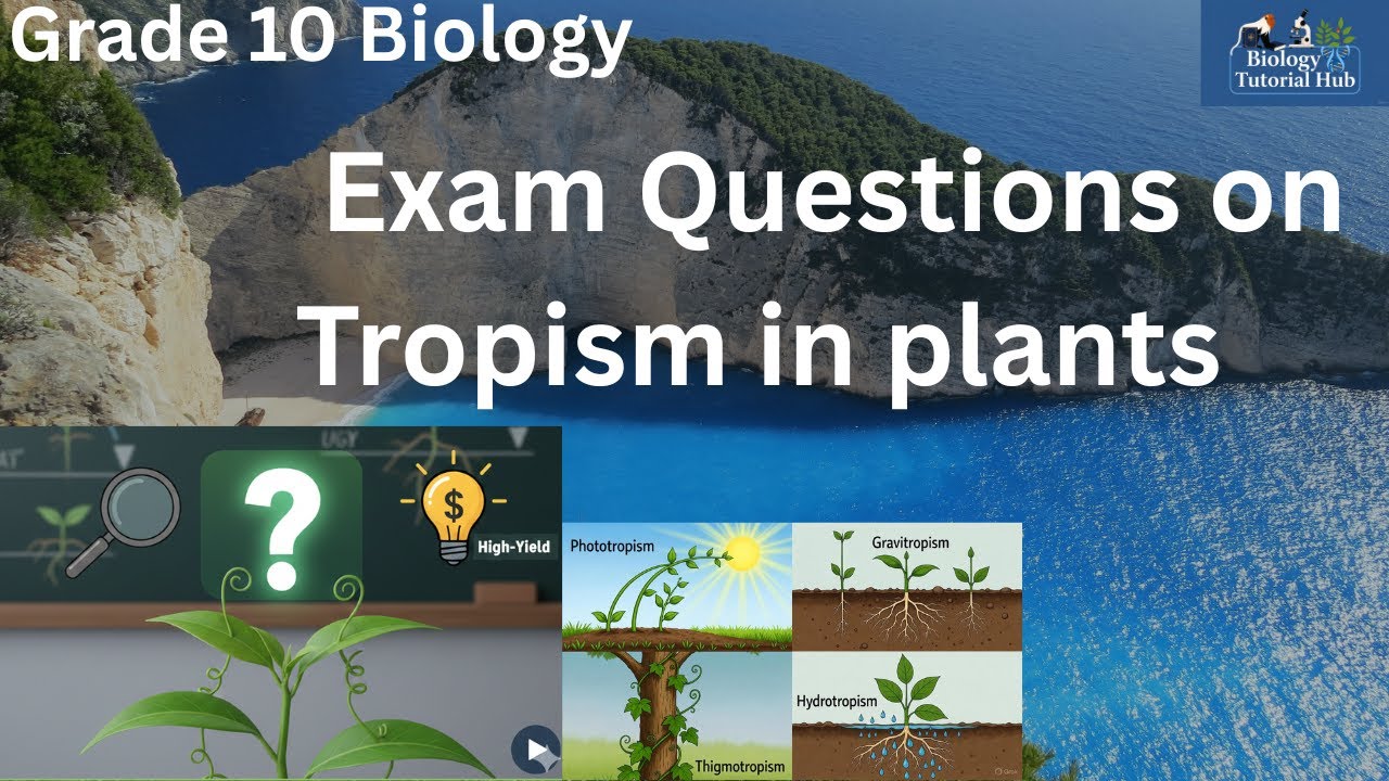 Most Expected Exam Questions on the Tropism in Plants (Grade 10 Biology)