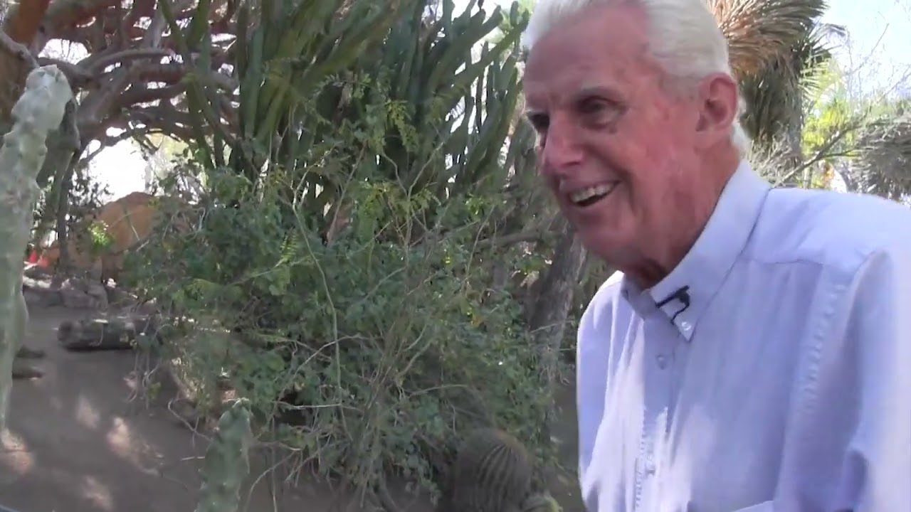 ODP Moorten Botanical Garden Web Exclusive