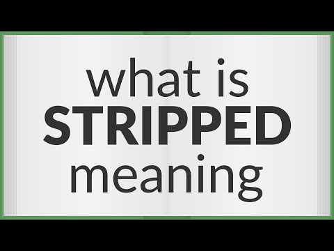 Stripped | meaning of Stripped