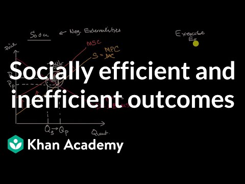 Socially efficient and inefficient outcomes