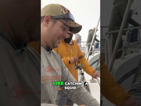Why do fluke love the squid and spearing combo? #fishing #flounder #partboatfishing