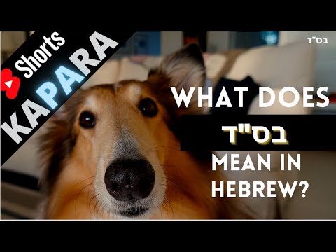 Why do Jews write Basad on every page? | Youtube Shorts