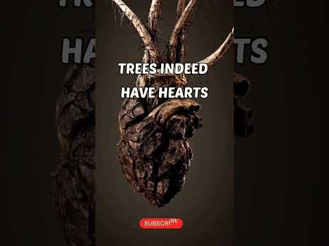 Tree Indeed Have Heart ~ Golden Words ~ Heart Touching Quotes Forever #shorts #quotes