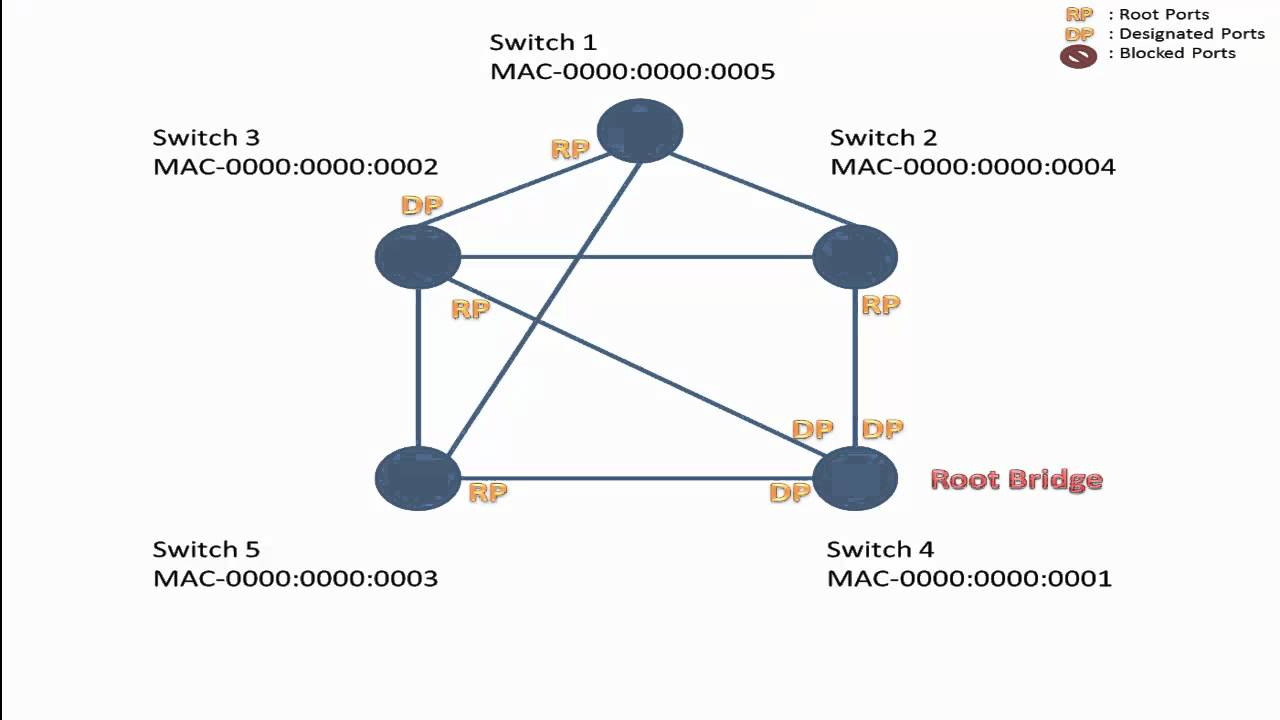 computer networking spanning tree tutorial