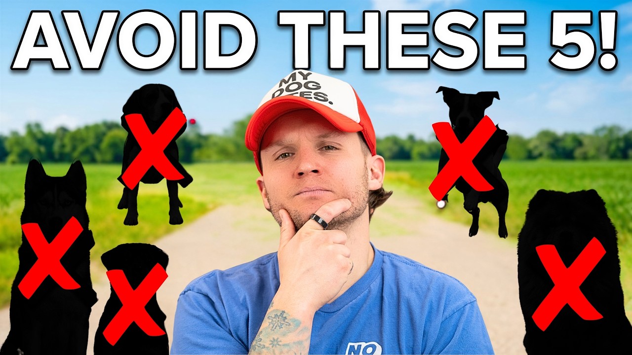 The 5 Dog Breeds That Will Humble You Fast