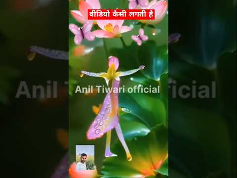 Himesh reshammiya songs π₯#shorts #flowers #flowerstatus #kgf #entertainment