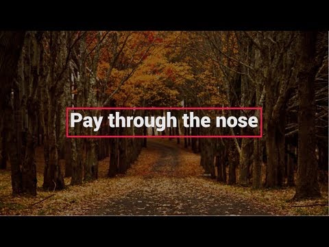 BIA's Idiom of the Day - Pay through the nose