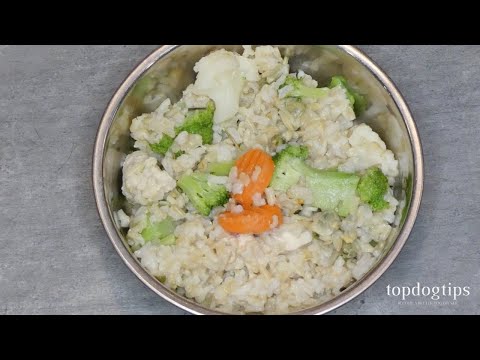 Recipe: Homemade Dog Food for Fussy Eaters