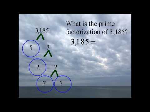 Use a factor tree to find the prime factorization of 3,185 using exponents. MathPrimaryQuiz For Kids