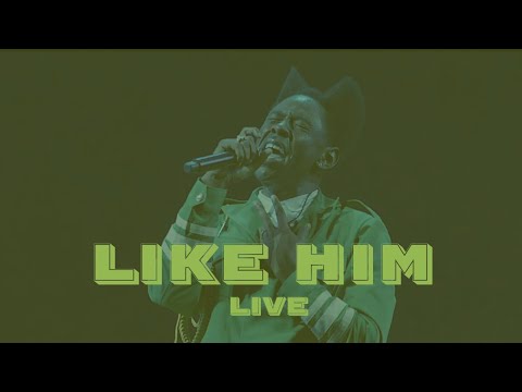 LIKE HIM (LIVE) - TYLER THE CREATOR 2024 // CHROMAKOPIA TOUR