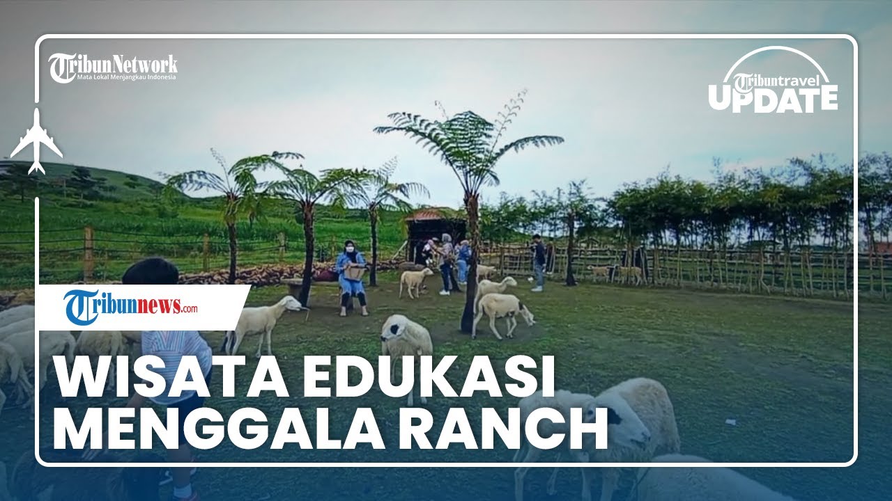 Manggala Ranch, Wisata di Banyumas yang Tawarkan Aktivitas Seru Beri ...