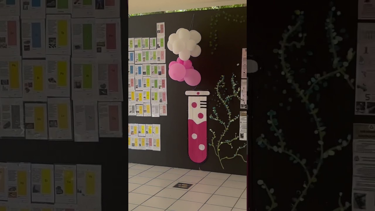2nd Grade Science Fair