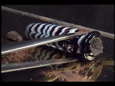 Glassmaking technique: core-formed glass Video Lecture - Art