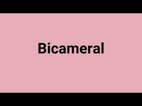 'Bicameral' Meaning and Pronunciation
