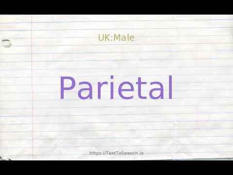 How to pronounce parietal