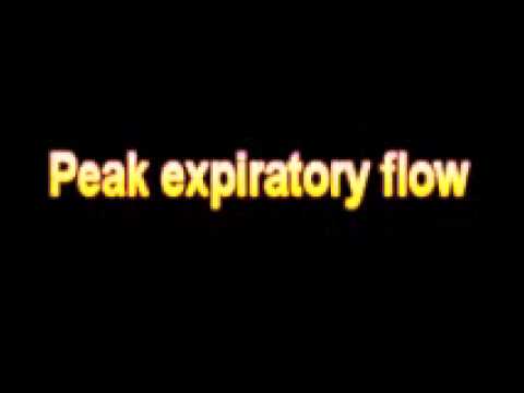 What Is The Definition Of Peak expiratory flow Medical School Terminology Dictionary