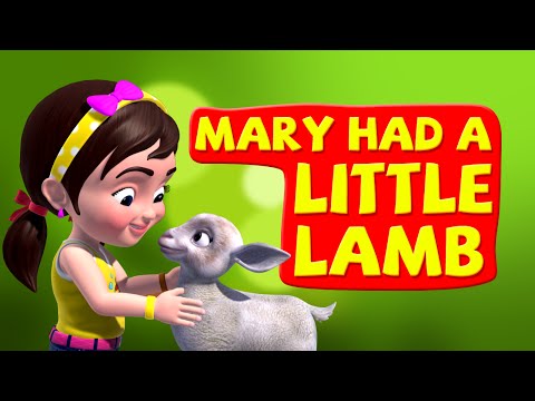 Mary Had A Little Lamb Nursery Rhymes for Children