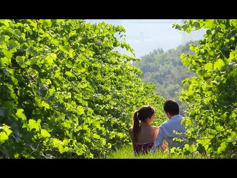 Castello Banfi Il Borgo - an extraordinary Tuscan experience
