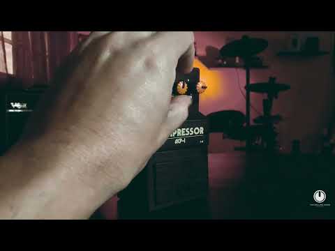 Aria ACP-1 COMPRESSOR | Reverb