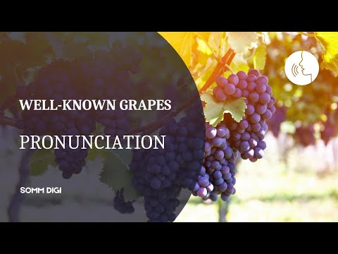 WINE GRAPE VARIETIES - How to pronounce wine grapes? Wine Pronunciation