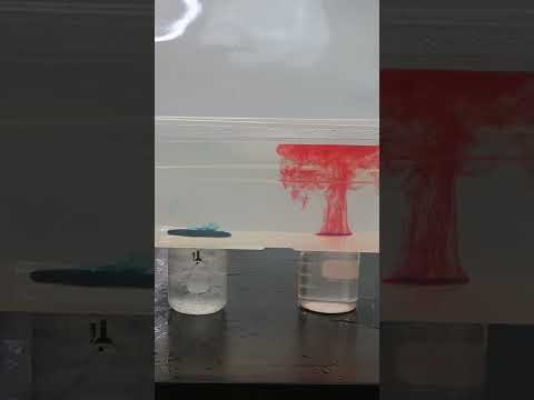 Short View: Convection Currents Demo