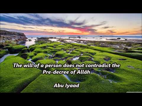 The will of a person does not contradict the Pre decree of Allāh.... Abu Iyaad