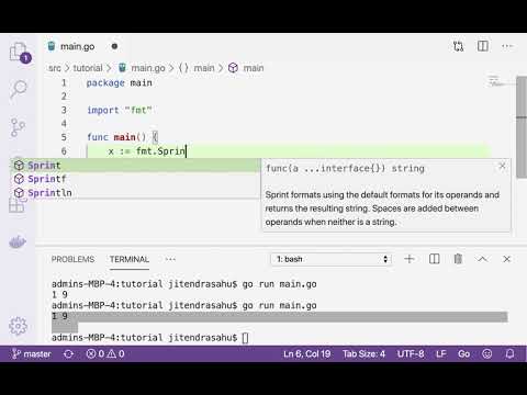 Sprint(), Sprintln(), Sprintf() functions in go