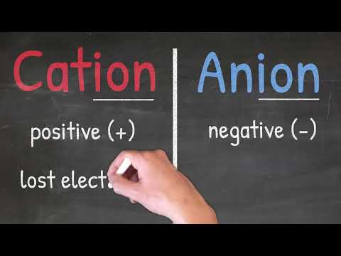Cations vs. Anions EXPLAINED! | Tadashi Science