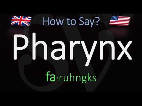 How to Pronounce Pharynx? (CORRECTLY) Meaning & Pronunciation