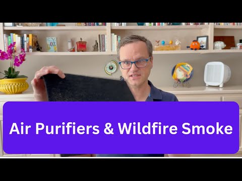 How to Choose the Best Air Purifier for Wildfire Smoke