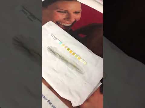 Veterinary Urine Sample Analysis