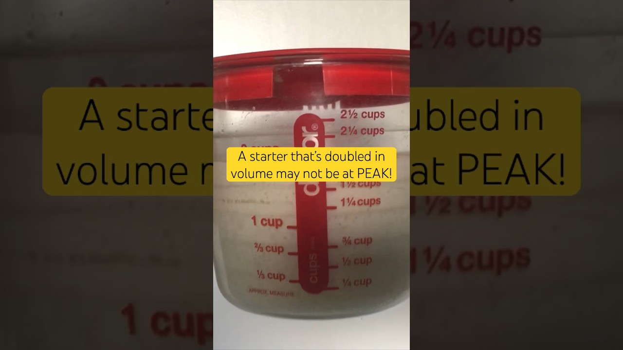 Don’t use the starter when it has doubled in volume. #sourdoughforbeginners #sourdoughstarter