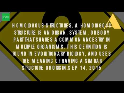 What Is Homologous In Biology?