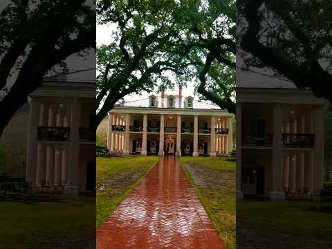 Rare 18th Century Sugar Plantation #louisiana #oakalleyplantation #neworleans #explore #tours #trip