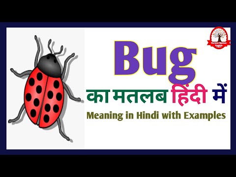 Bug meaning in Hindi | Bug का मतलब क्या होता हे | explained Bug in Hindi
