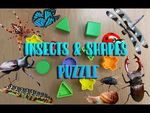 SHAPES & INSECT | PUZZLE with 2 YEARS OLD TODDLER | SZ's LEARNING